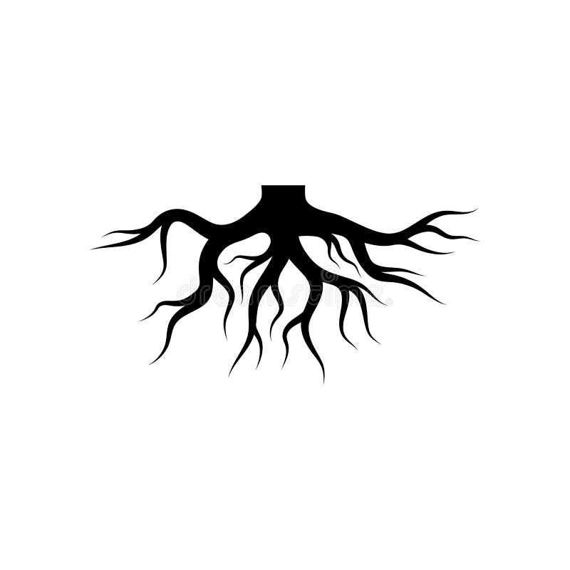 Root Vector Illustration Template Stock Vector - Illustration of vector ...