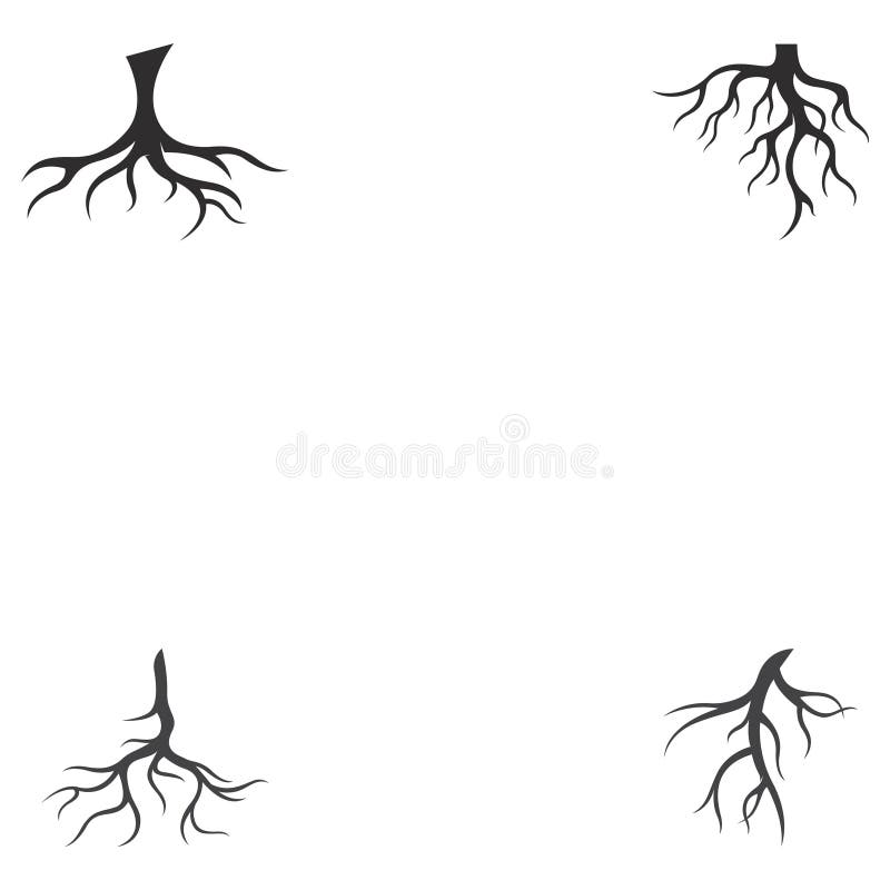 Root Vector Illustration Template Design Stock Vector - Illustration of ...