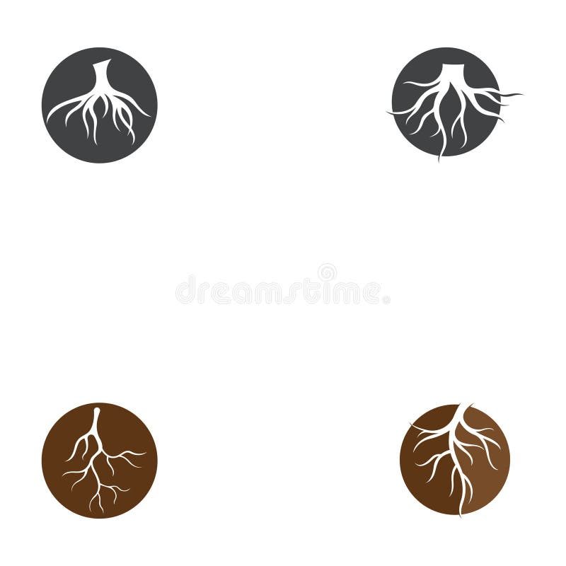 Root Vector Illustration Template Design Stock Vector - Illustration of ...