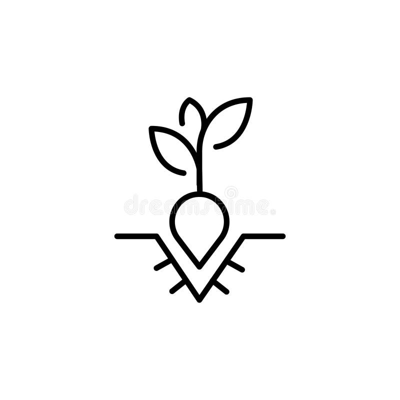 Root Vegetable Icon stock vector. Illustration of green - 322109831