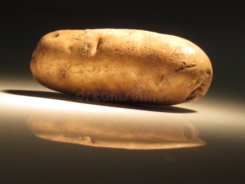 Root Vegetable, Potato, Russet Burbank Potato Picture. Image: 118940353