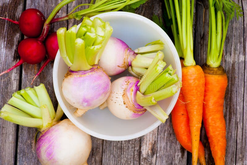 Root Vegetables stock photo. Image of organic, purple - 24794864