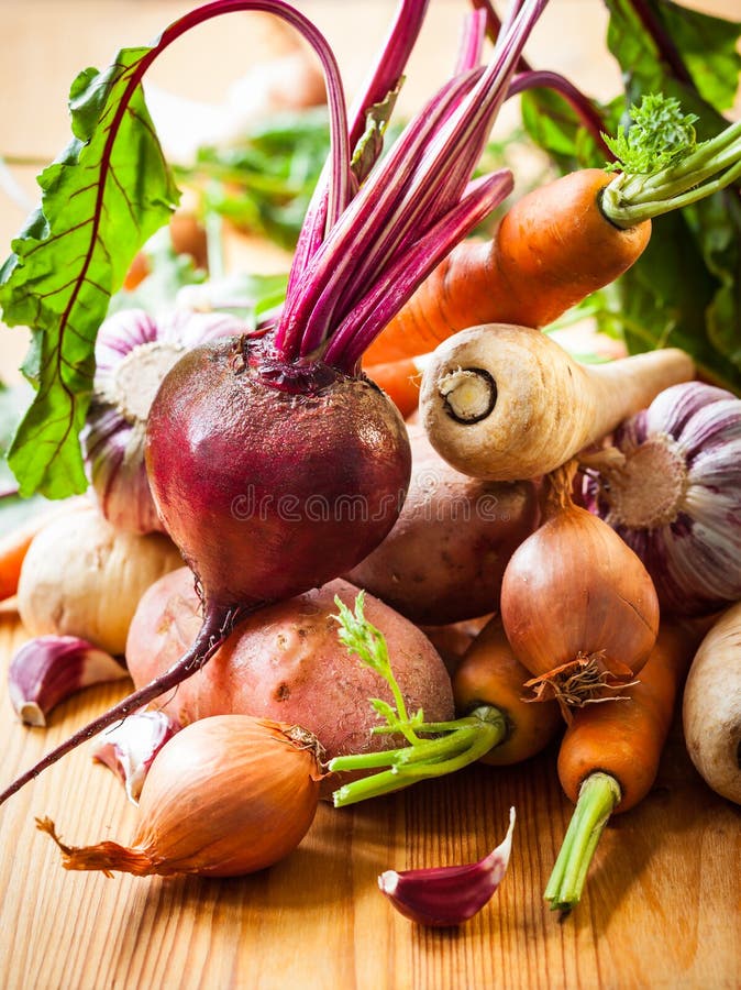 Root vegetables stock photo. Image of natural, diet, leaf - 42174686