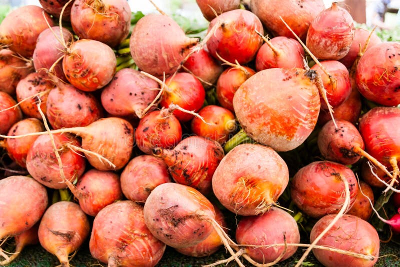 Root vegetables stock image. Image of garden, harvest - 32163079