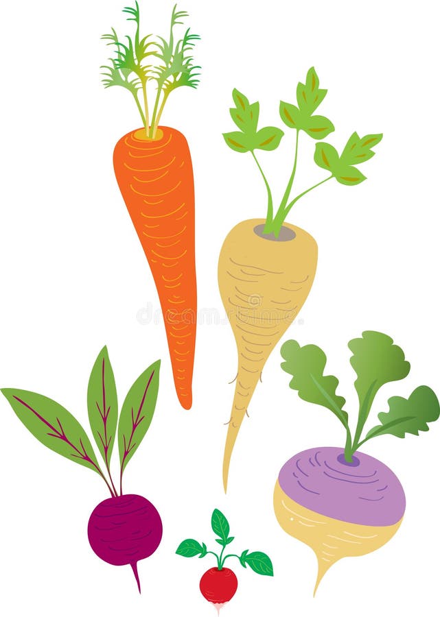 Design With Root Vegetables