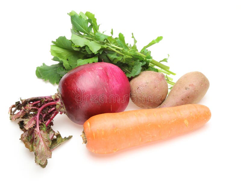 Root vegetables stock photo. Image of healthy, carrot - 69742178
