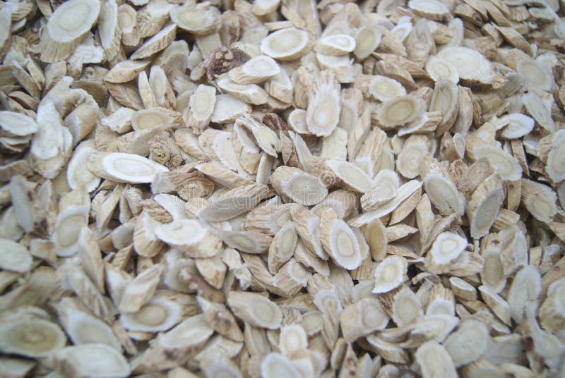 466 Root 10 Image Stock Photos - Free & Royalty-Free Stock Photos from ...