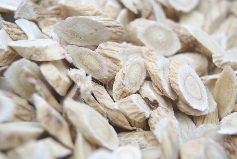 466 Root 10 Image Stock Photos - Free & Royalty-Free Stock Photos from ...