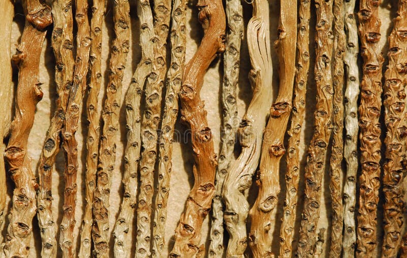 Roots Picture. Image: 4783787