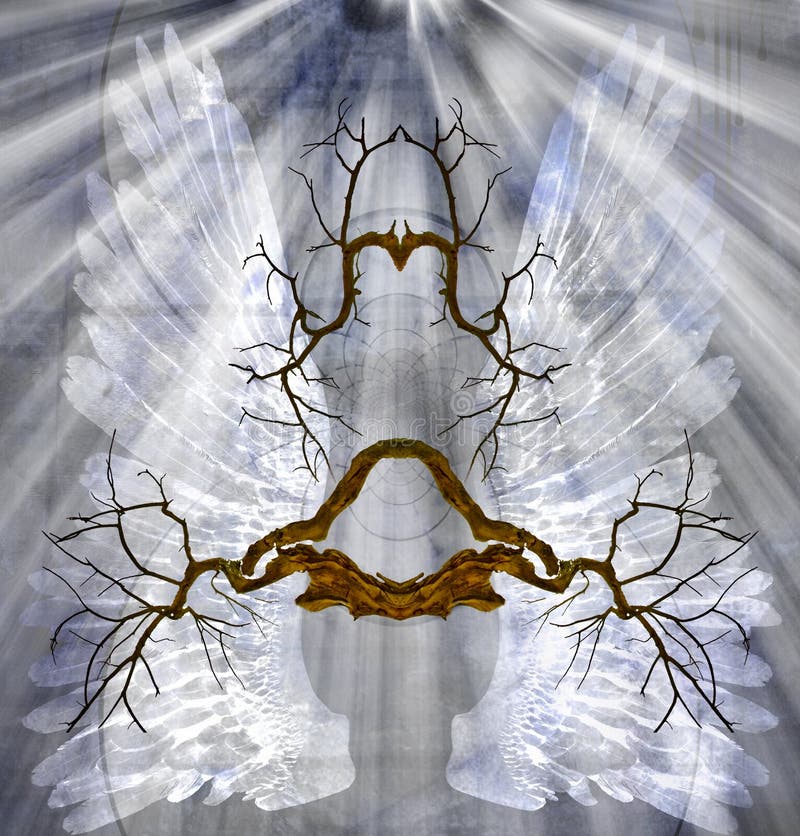 Roots and angels wings stock illustration. Illustration of rays - 213921066