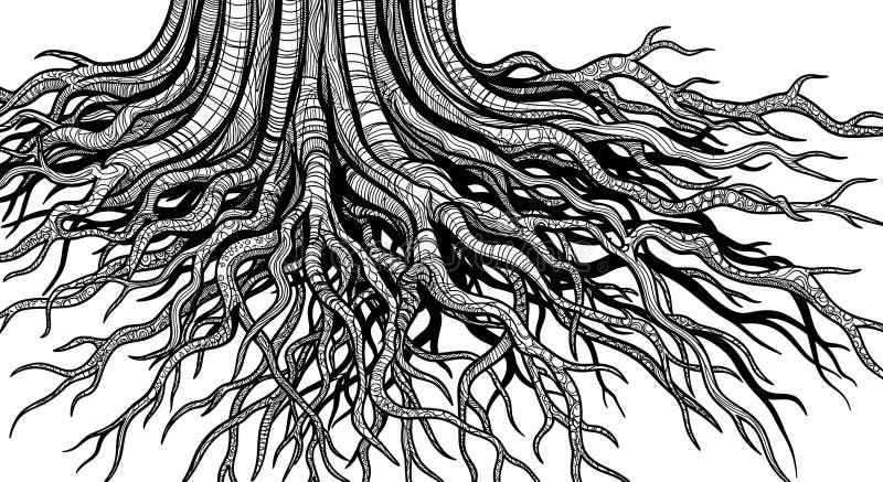 Intricate Black and White Illustration of Tree Roots Extending in ...