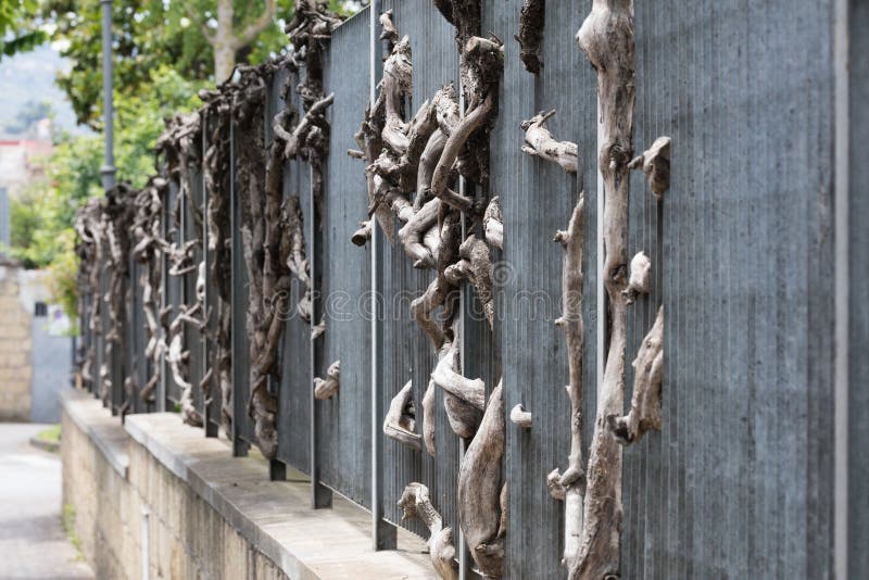 Roots through a gate stock photo. Image of amazing, impressive - 105068320