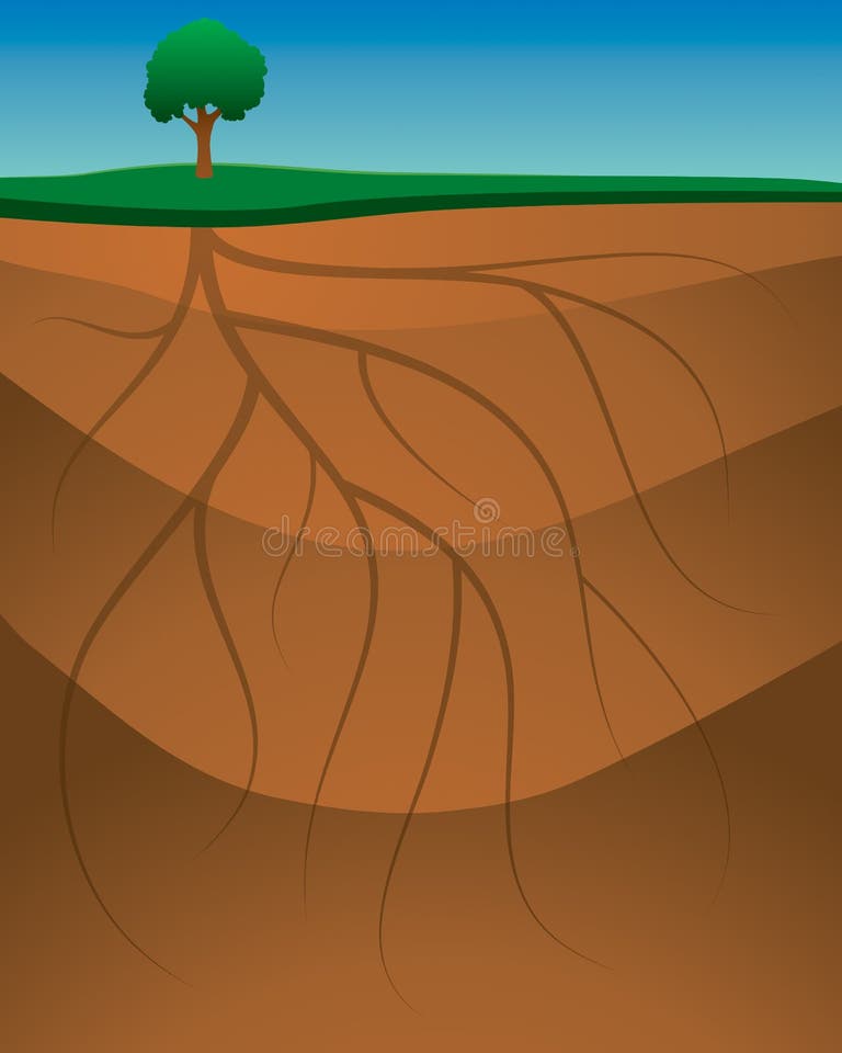 Tree Deep Roots Graphic Stock Illustrations – 79 Tree Deep Roots ...