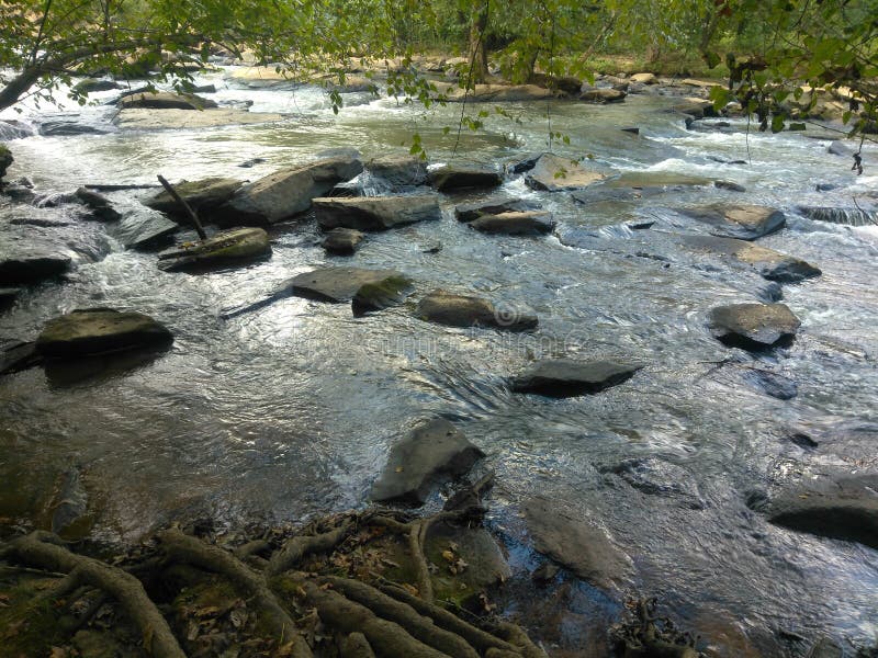 Roots and river stock photo. Image of evening, rocks - 127829728
