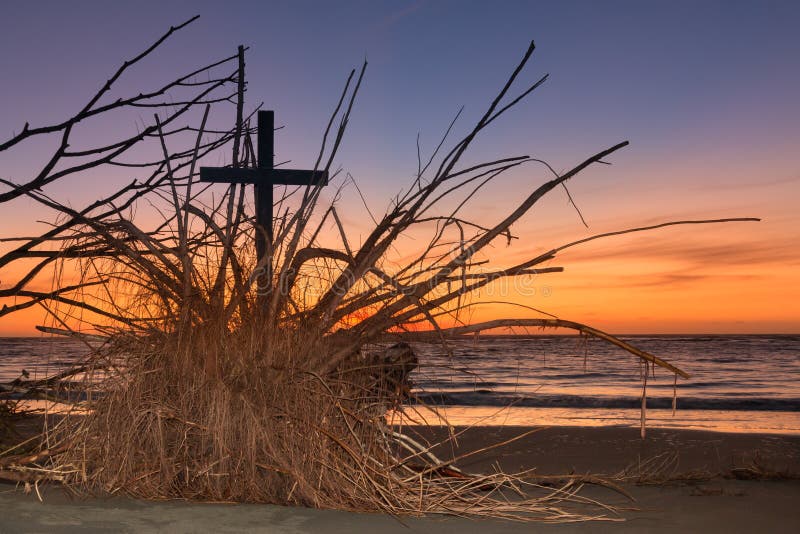 Tree Roots Jesus Stock Photos - Free & Royalty-Free Stock Photos from ...