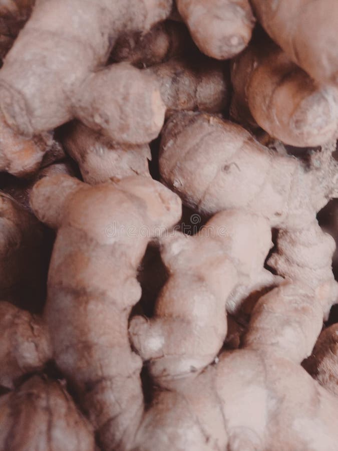 Roots spice in abundance stock image. Image of baking - 210684081