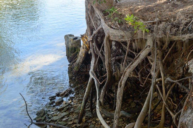 Canal water line stock photo. Image of south, photographer - 110770464