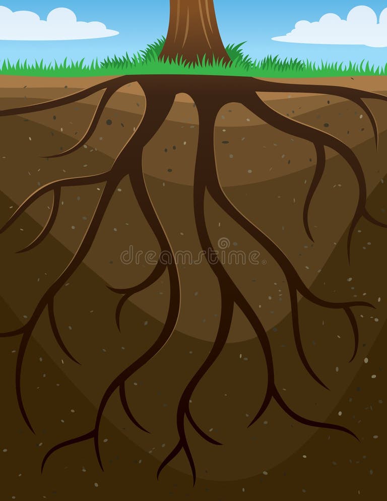 Tree Roots Cartoon Stock Illustrations – 6,212 Tree Roots Cartoon Stock ...
