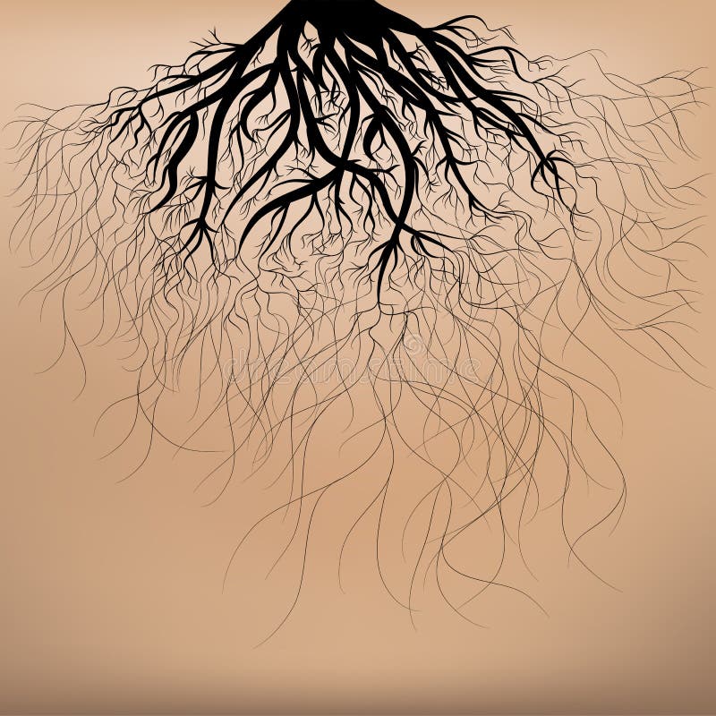 Tangled Roots Stock Illustrations – 85 Tangled Roots Stock ...