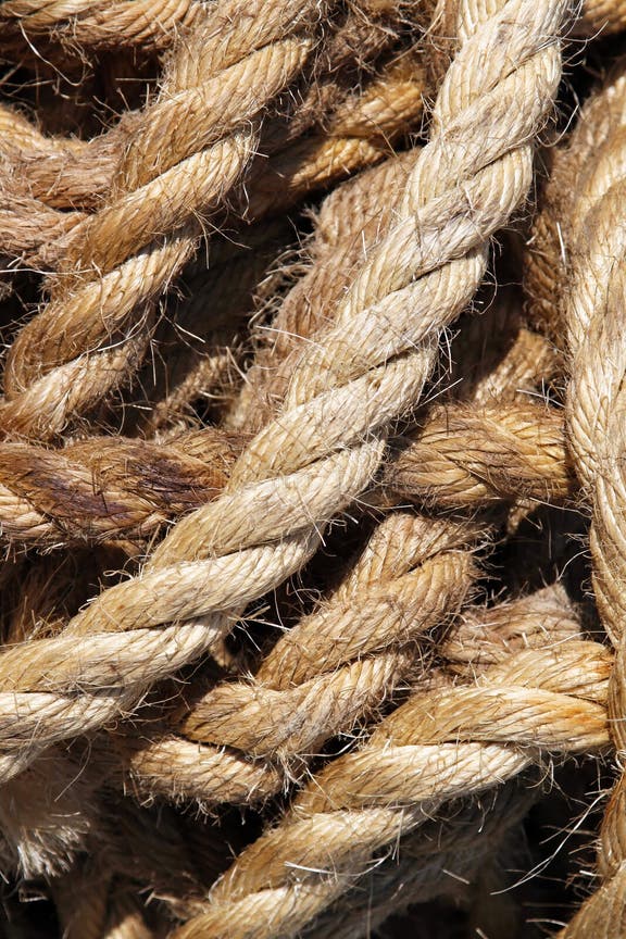 Rope stock photo. Image of lines, bunch, strong, lasso - 21457378