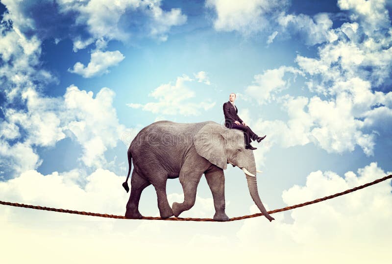 Elephant on rope stock photo. Image of heavy, adult, rope - 25928240