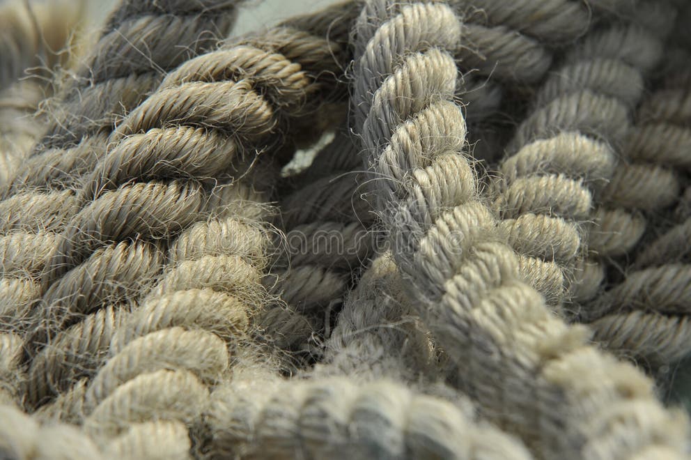 Rope stock photo. Image of tangle, chord, rope, wound - 29089842