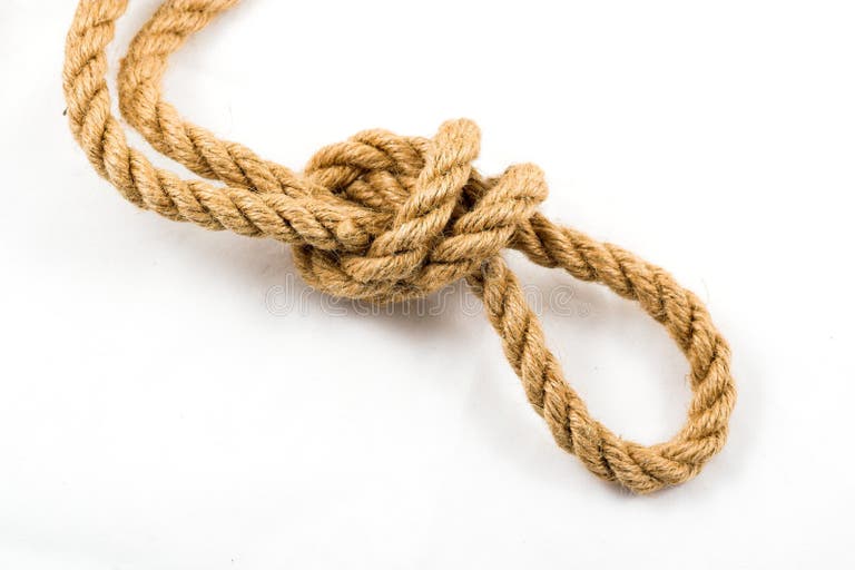 10,137 Lasso Rope Stock Photos - Free & Royalty-Free Stock Photos from ...