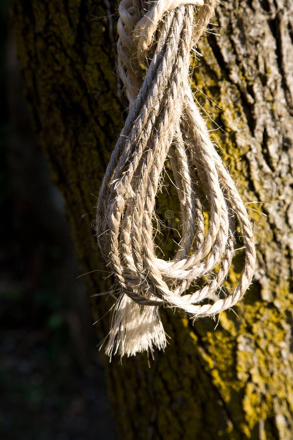 Rope stock image. Image of cordage, cord, secure, rope - 7634197