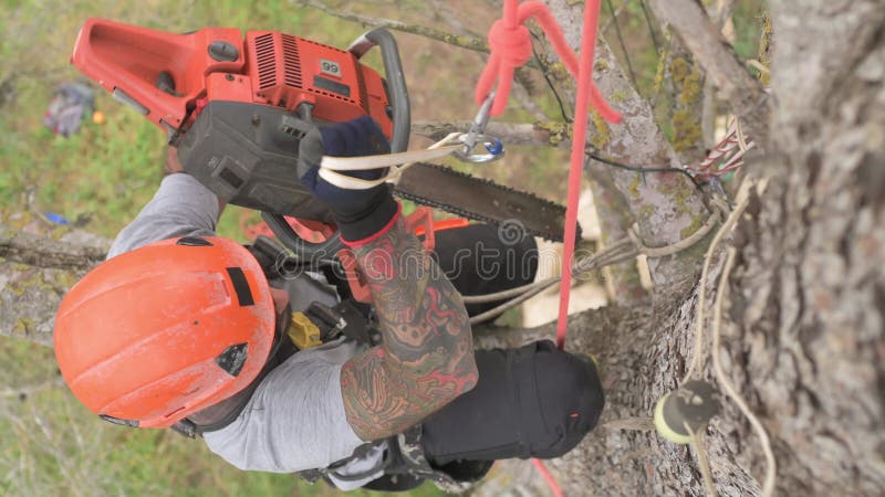 Rope Access Technician Hoisting a Chainsaw by a Rope Stock Footage ...