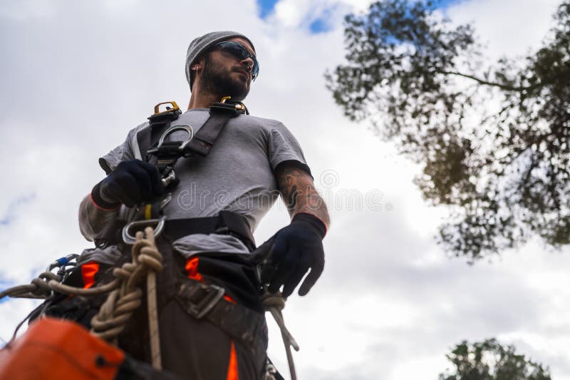 Rope Access Technician Preparing for Tree Pruning with Safety Harness ...