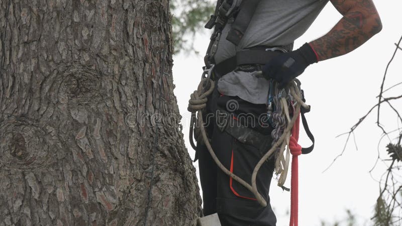Rope Access Technician Securing Himself To a Tree Stock Video - Video ...