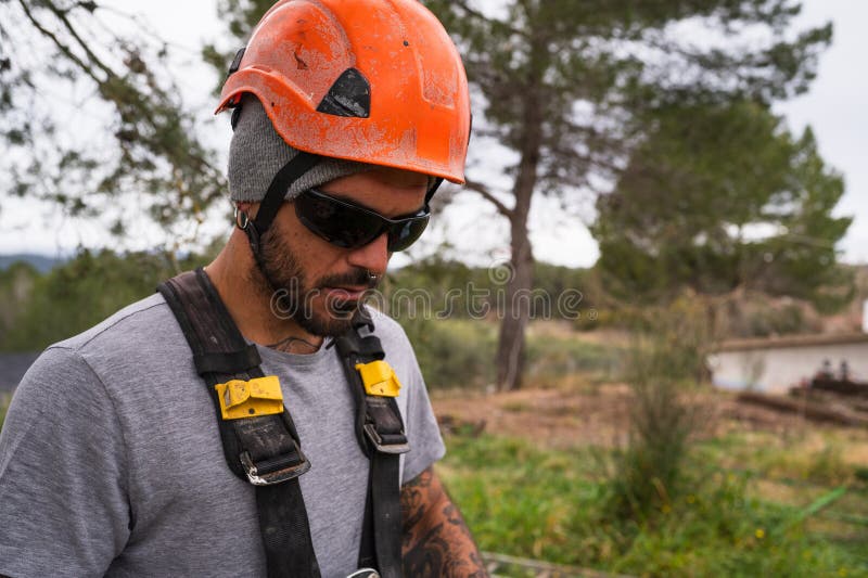 Rope Access Technician Wearing Safety Helmet Harness Preparing Tree ...