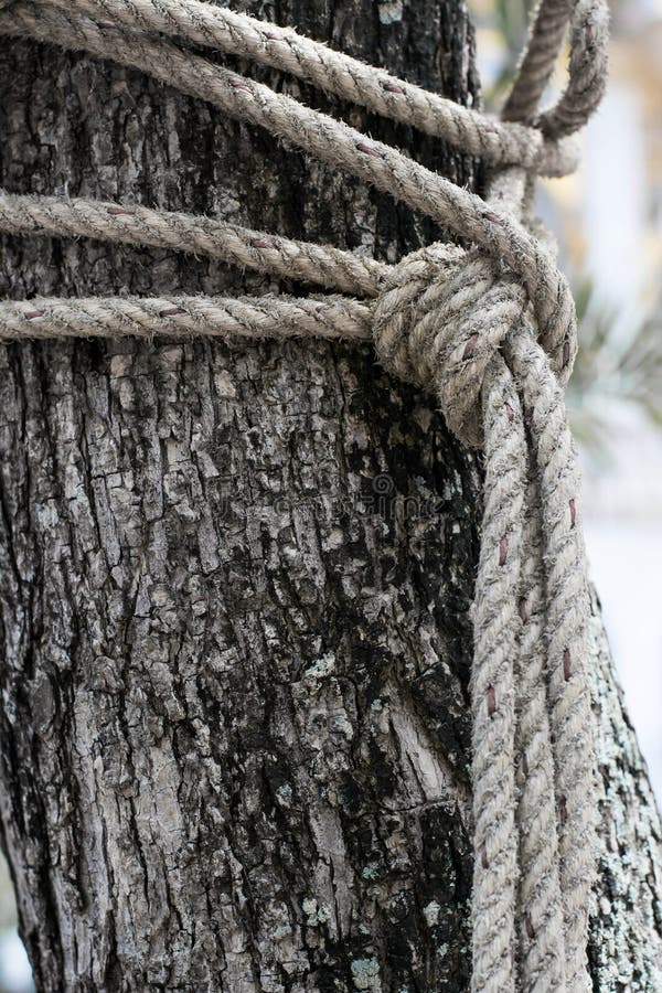 Single Rope Lumber Stock Photos - Free & Royalty-Free Stock Photos from ...