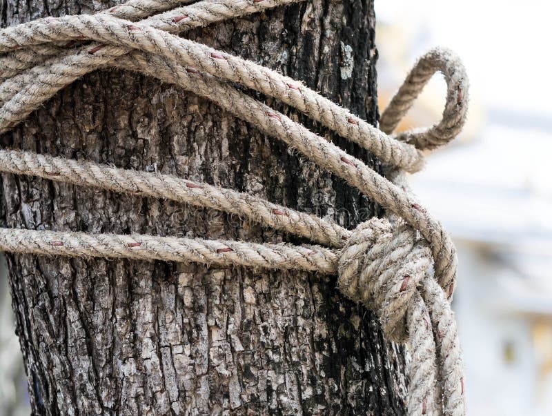 Rope stock image. Image of link, dirty, fashioned, panel - 58199601