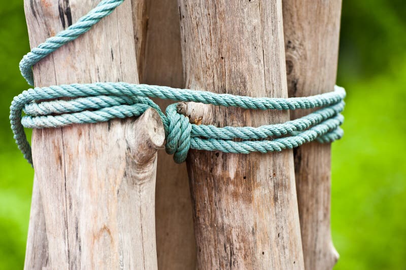 Rope around log stock image. Image of hardwood, concepts - 22282741