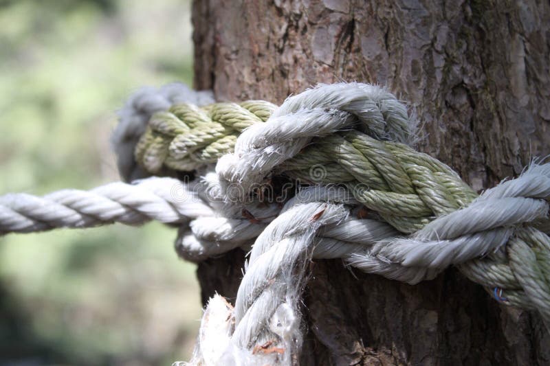 Tie me Down stock photo. Image of vermont, nature, rope - 120522666