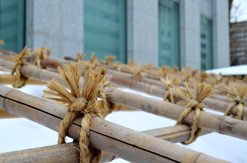 Rope and Bamboo for Tree Protection from Snow Stock Photo - Image of ...