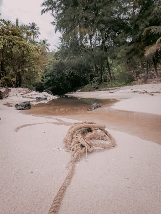 Rope on the Beach Sand Near the Rainforest Island Stock Photo - Image ...