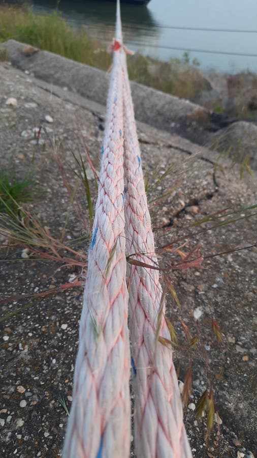 Rope boat on the Danube stock image. Image of grass - 285307021