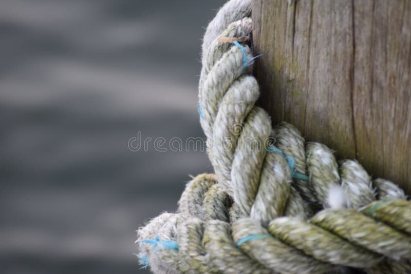Rope of a boat stock photo. Image of lake, nautic, schleswigholstein ...
