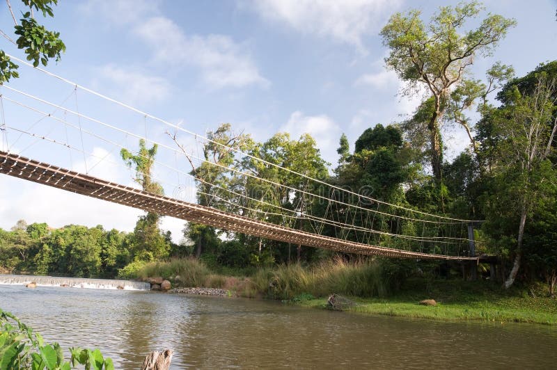 Rope bridge stock image. Image of rope, park, bridge - 16419019