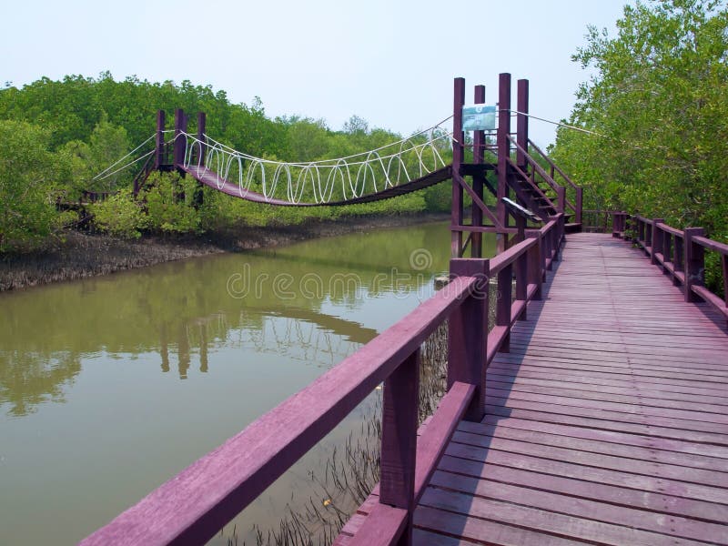 Rope bridge stock image. Image of bridge, nature, footpath - 28649423