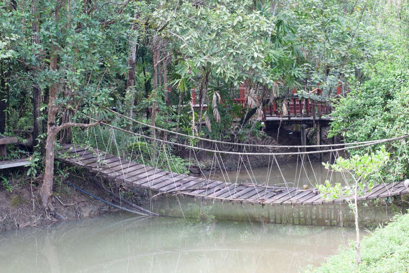 Rope bridge across river stock photo. Image of unite - 38303500