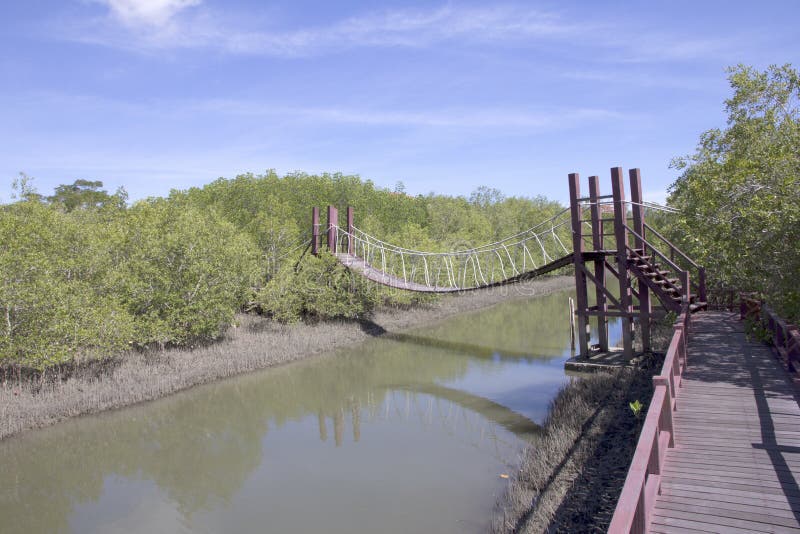 Rope bridge stock image. Image of bridge, nature, asia - 55754205