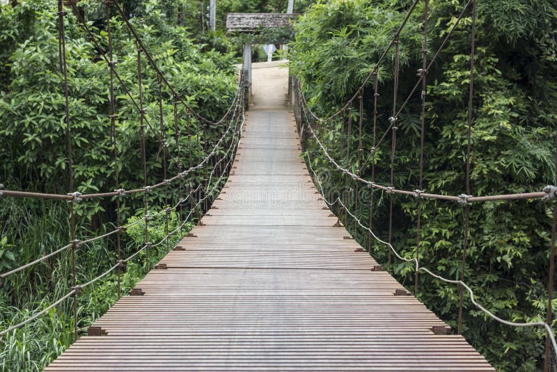 Vine Bridge (Kazurabashi) stock photo. Image of nature - 7264022