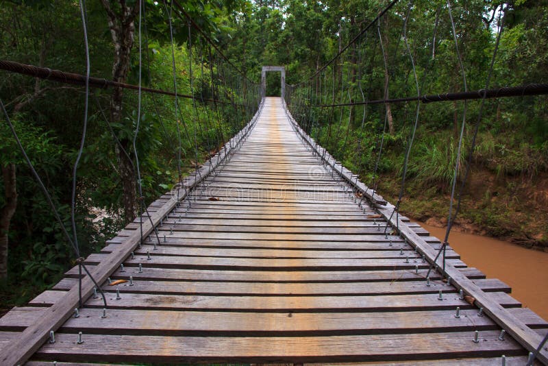 Rope bridge stock image. Image of nature, high, adventure - 46020275