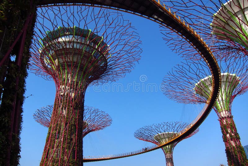 Rope bridge 2 stock photo. Image of bridge, tree, architecture - 45149498