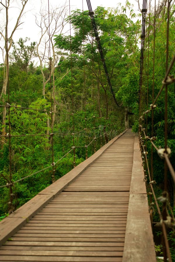 Rope Bridge Go To Waterfall Stock Photo - Image of bridge, passage ...