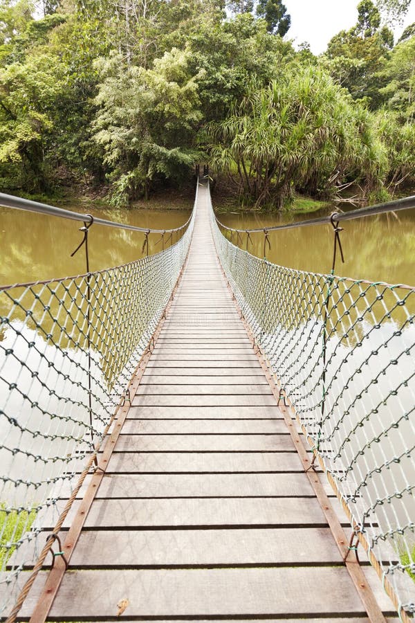 Rope bridge in a jungle stock image. Image of trail, river - 53906553