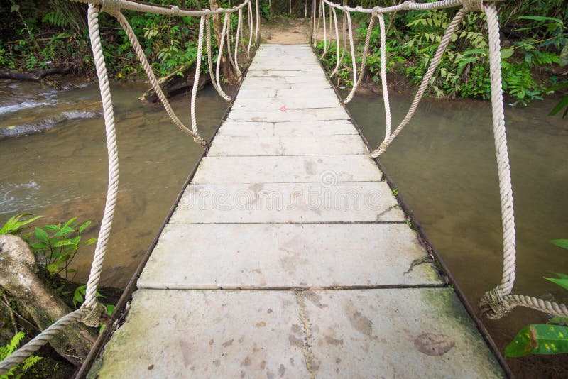 Rope bridge over a river stock photo. Image of jungle - 58539544